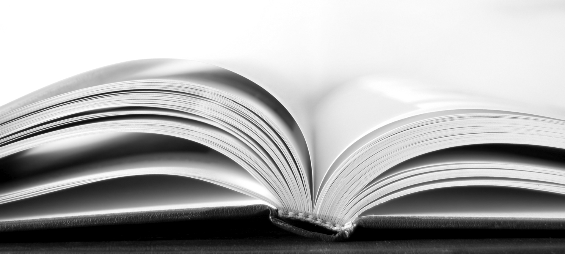 One Literary Book Review In Canada Nancy Chislett One Literary Book Review In Canada Nancy Chislett